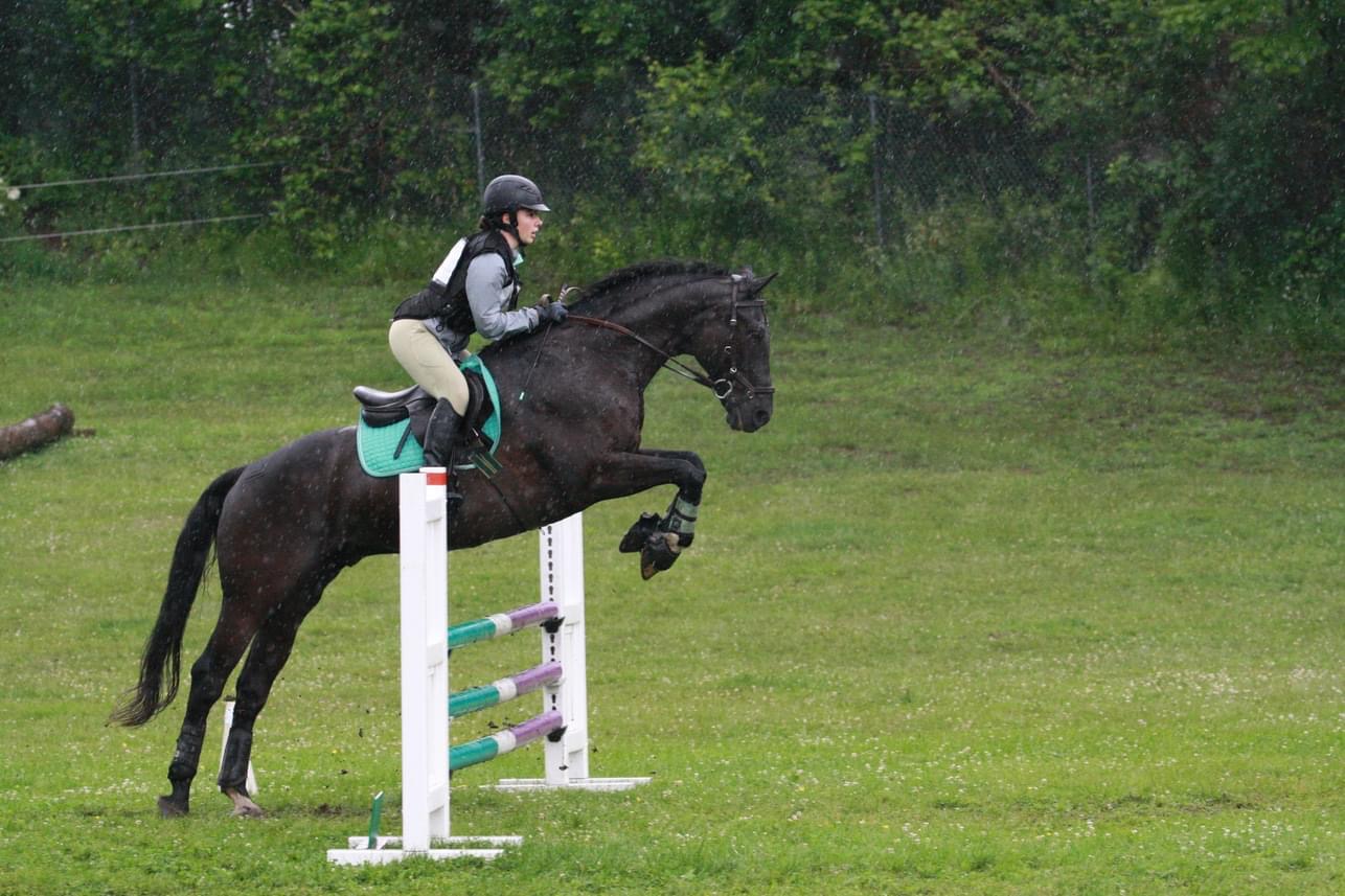 About Wild Wings Equestrian – Wild Wings Equestrian